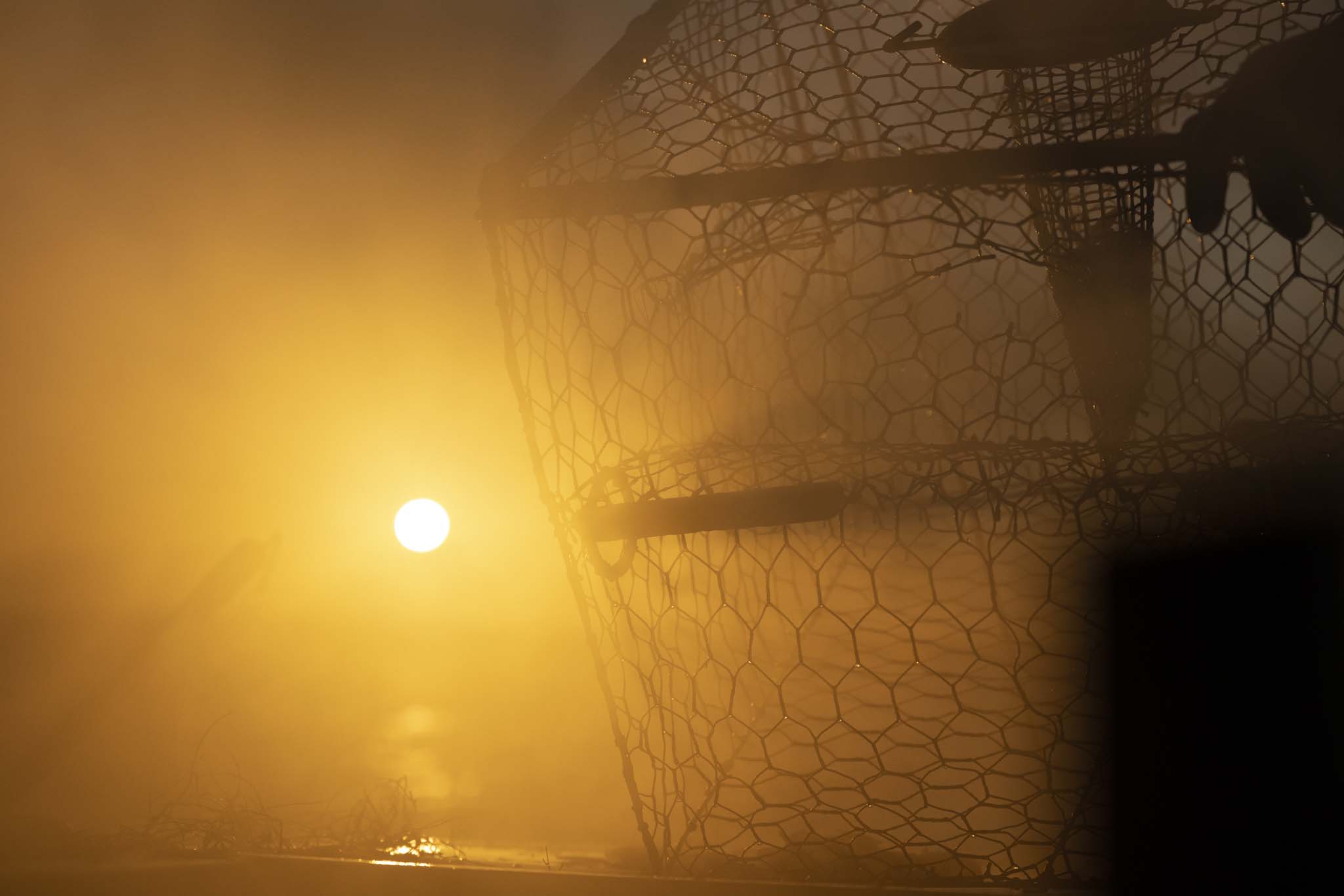 Captain White Seafood City | Family Owned Since 1972 – Captain White's ...